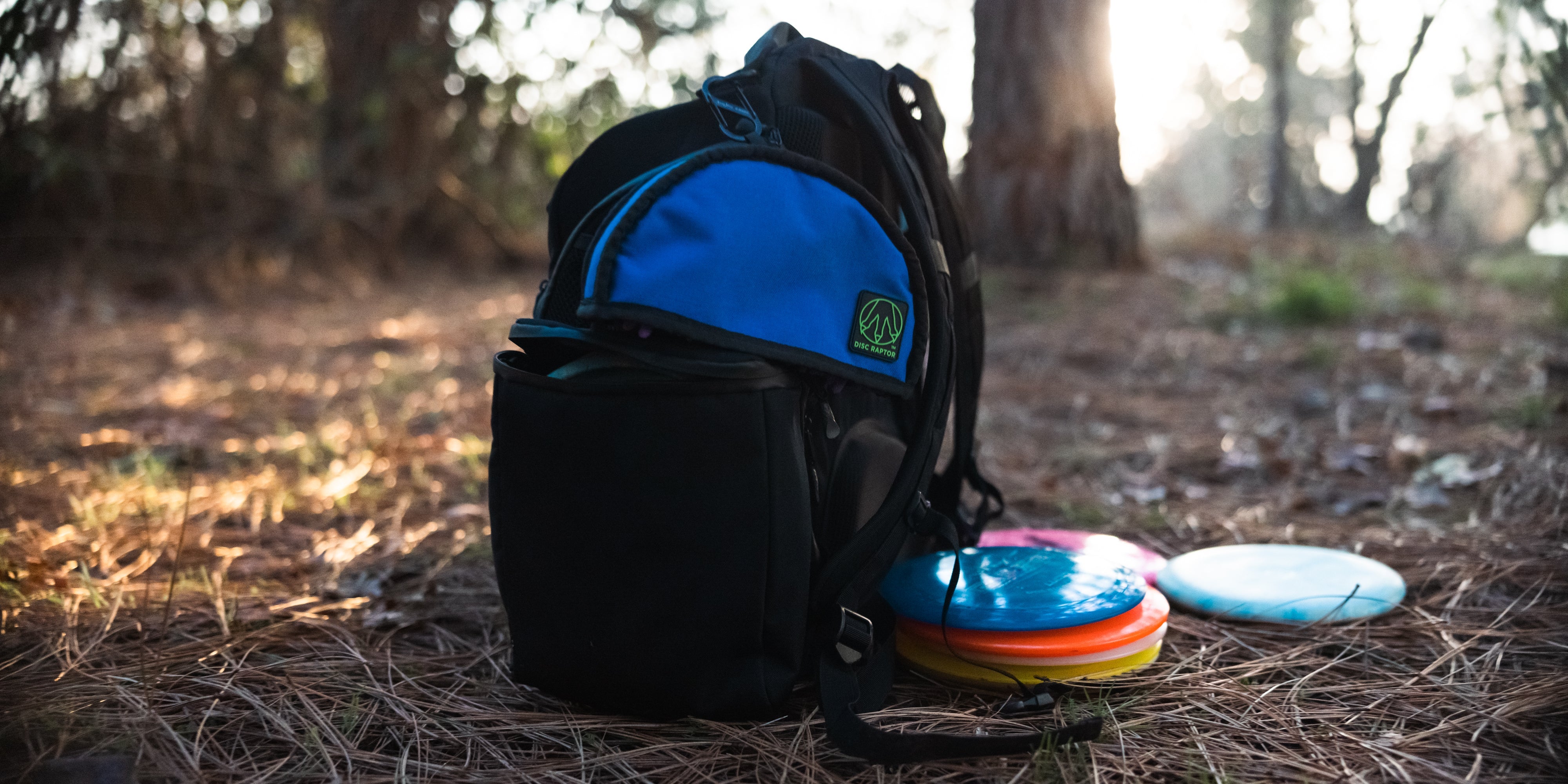 Obsidian / Gray Innards – DISC RAPTOR